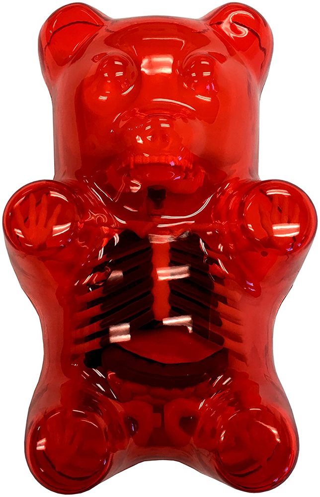 4D Gummy Bear Anatomy Model - Red, from John N. Hansen Co. Inc. and ...