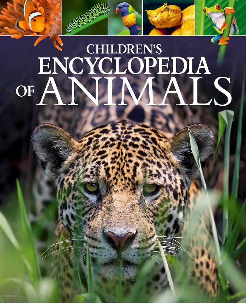 children's encyclopedia